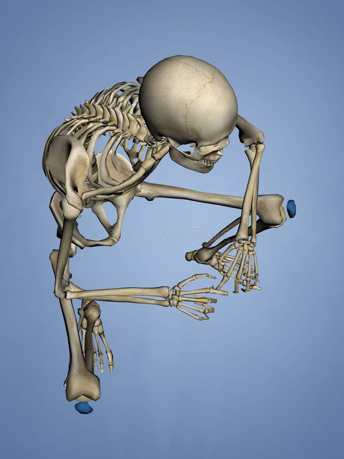 Patella, 3D Model stock illustration. Illustration of model - 95438464