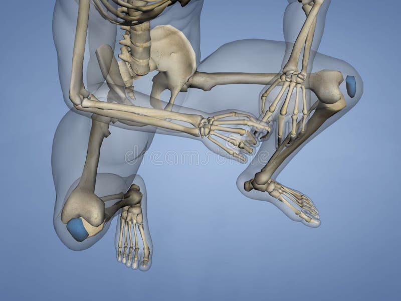 Patella, 3D Model stock illustration. Illustration of patella - 95438567