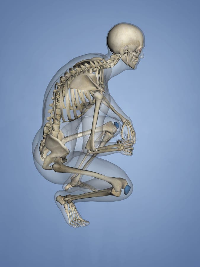 Patella, 3D Model stock illustration. Illustration of anatomy - 95438672