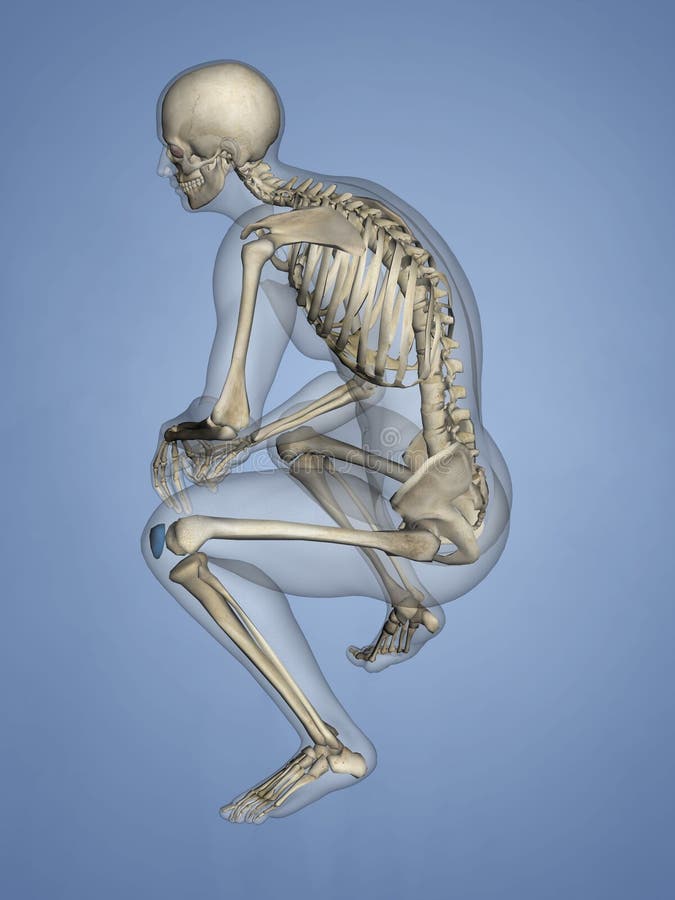 Patella, 3D Model stock illustration. Illustration of kneecap - 95438728