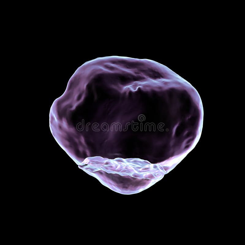 Patella Lower Pole Fracture, 3D Illustration Stock Illustration ...