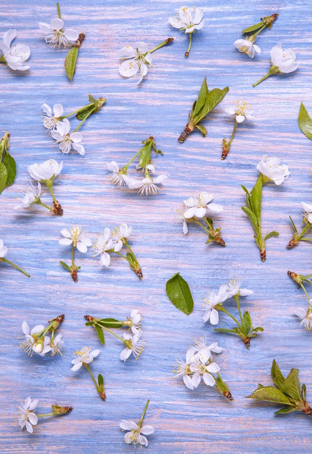 Patern Texture of Spring Flowers on the Background of an Old Vintage ...