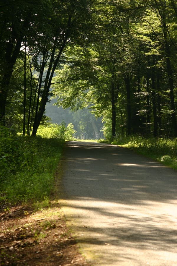A path stock photo. Image of rural, lane, street, path - 1049930