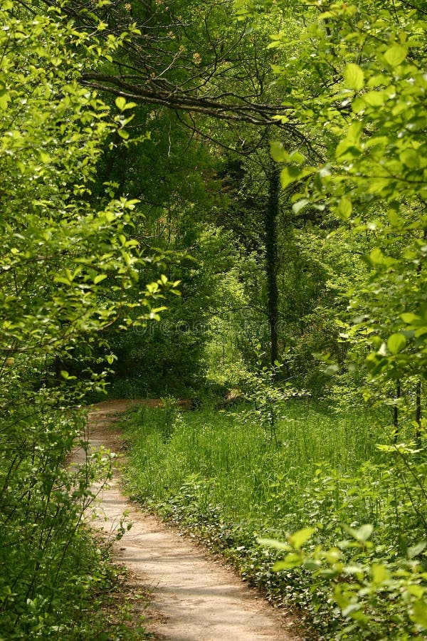 Garden path stock photo. Image of orange, path, walk, garden - 9838590