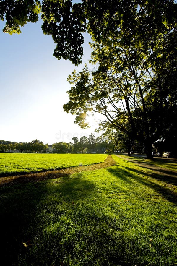 Path stock photo. Image of colors, quiet, branches, path - 1200864