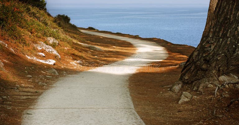 Grass's Shaped Path Stock Photos - Free & Royalty-Free Stock Photos ...