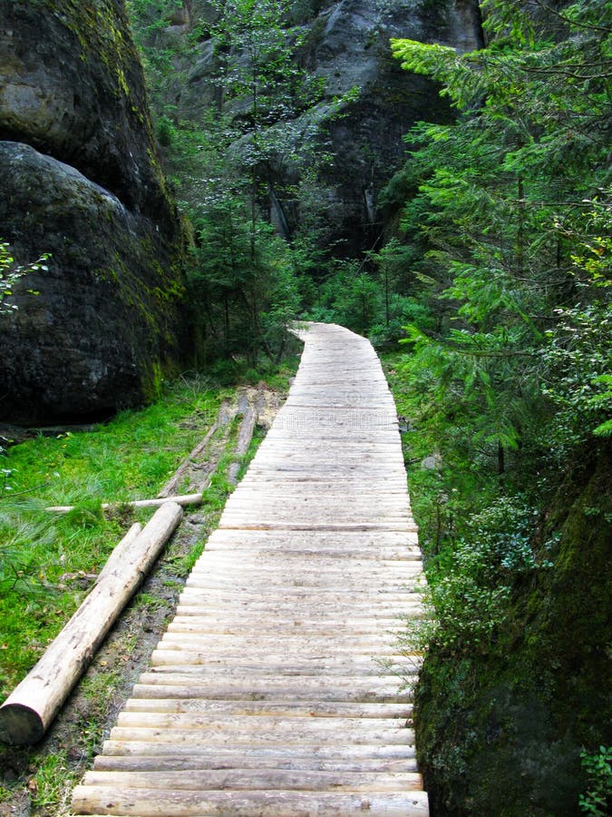 Wood plank bridge stock photo. Image of outdoor, recreation - 6934956