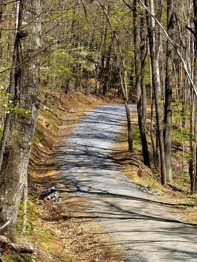 Path stock photo. Image of path, hiking, mountain, green - 141292