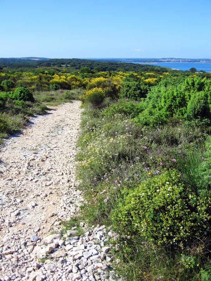 Path stock image. Image of sunset, nature, yellow, landscape - 14705429