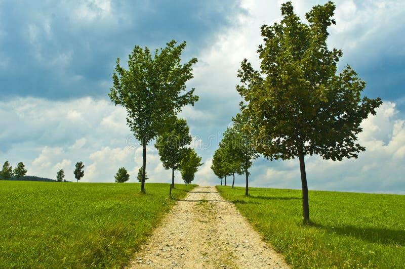 Path stock photo. Image of growth, panoramic, green, foliage - 25720884