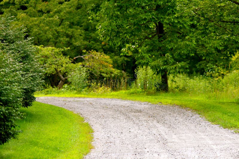 Path stock image. Image of curved, path, woods, stone - 26081189