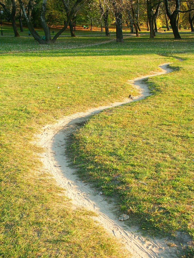 Two paths in a forest stock image. Image of nature, colorful - 2281983