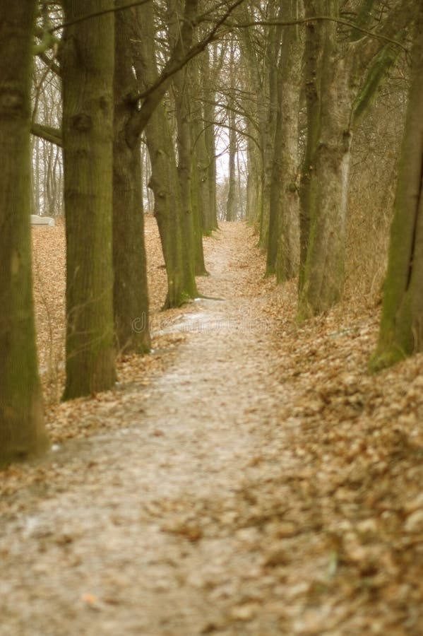 Blue winding path stock illustration. Illustration of path - 109422