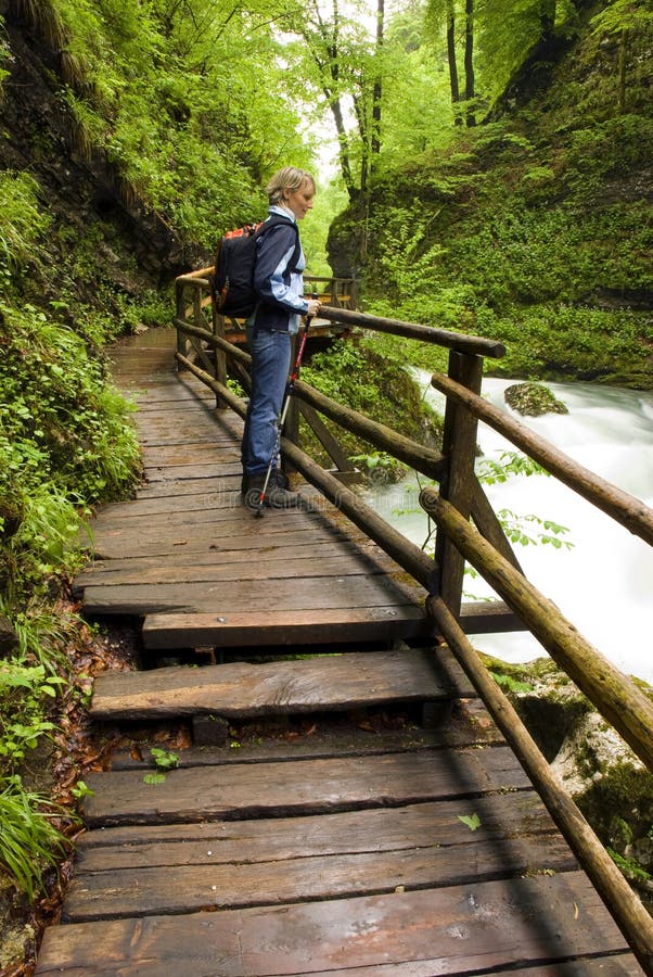 Path stock photo. Image of scenic, countryside, green - 2384178