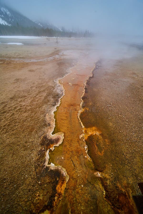Path of Acidic Waters in Yellowstone Leading into Unknown Steam Stock ...