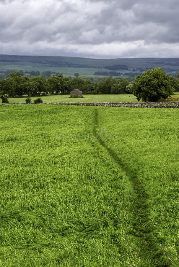 Path across field stock photo. Image of tree, path, walking - 10600940