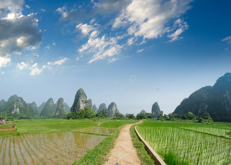 Path across the fields stock image. Image of destination - 28115349