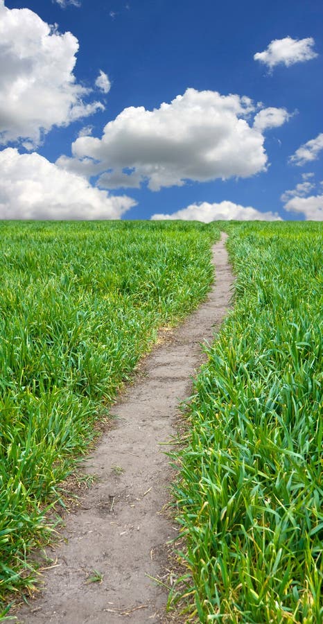 Path across green field stock image. Image of life, green - 13452339