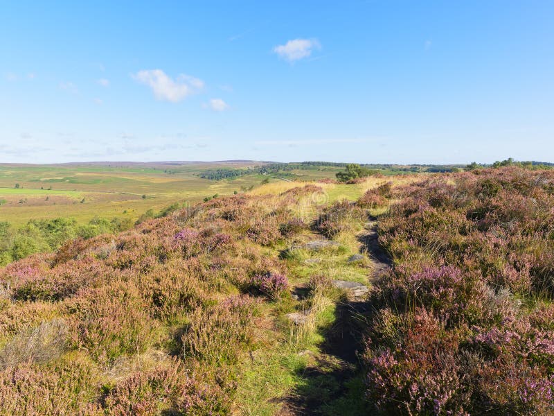 To the End of Birchen Edge and Across Derbyshire Stock Photo - Image of ...