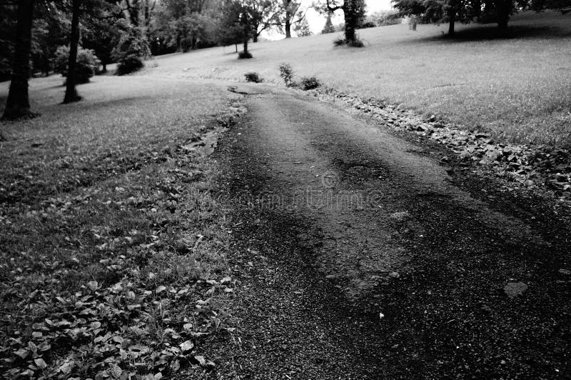 A path across stock photo. Image of trees, path, leading - 77454576