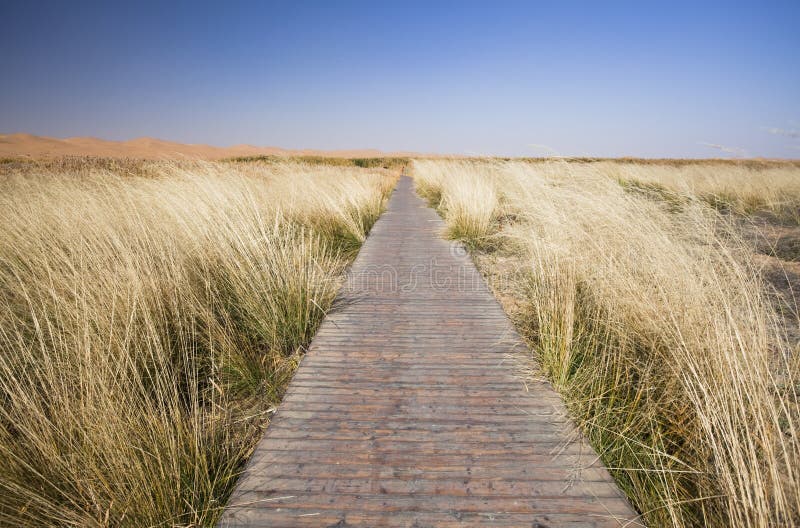 The Path Along the Cliff Reed Stock Image - Image of boardwalk, journey ...