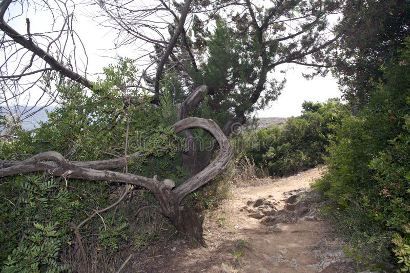 A Path Along the Coast on the Hilltop. Stock Photo - Image of outdoors ...