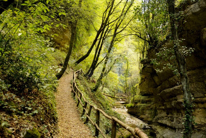 Path along the gorge stock image. Image of stairway, park - 27444473