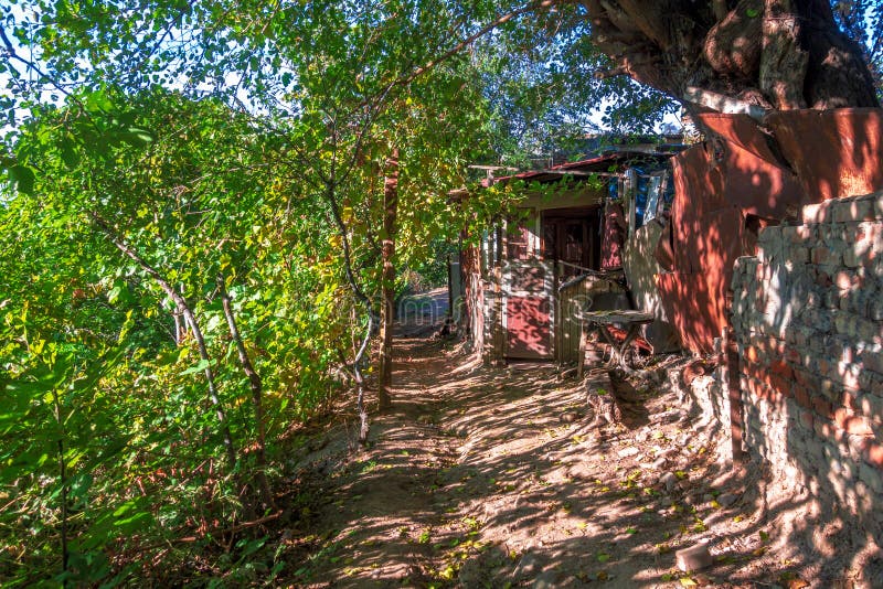 Path Along the Old House in the Forest Stock Image - Image of ...