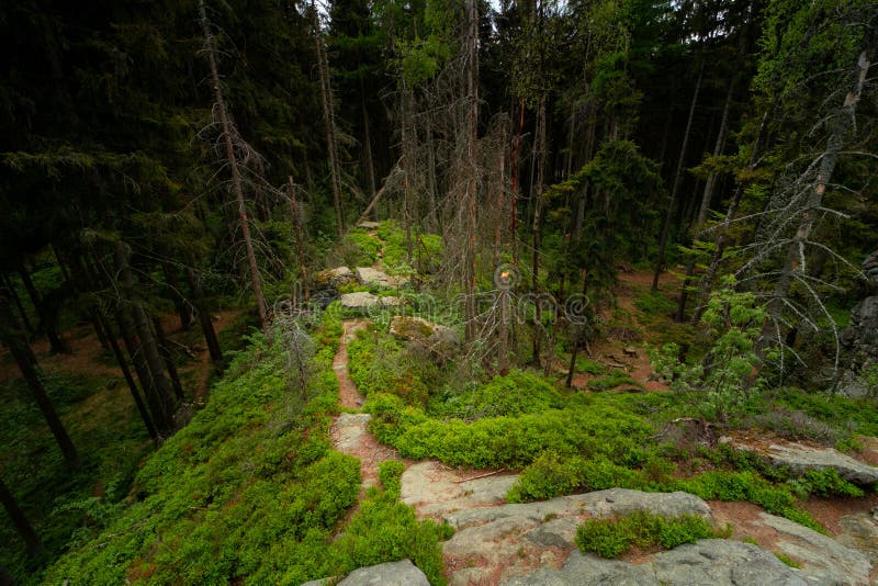 A path along the ridge stock photo. Image of plant, panorama - 183766672