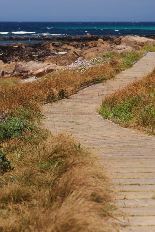 Path along the shore stock photo. Image of path, shoreline - 2552040