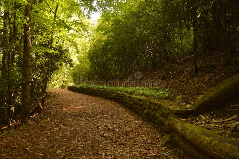 Path along a Stone Wall stock photo. Image of path, trail - 264367158