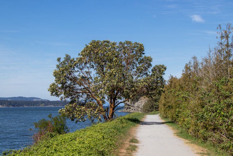 Path Along the Waterfront on a Spring Day Stock Photo - Image of ...