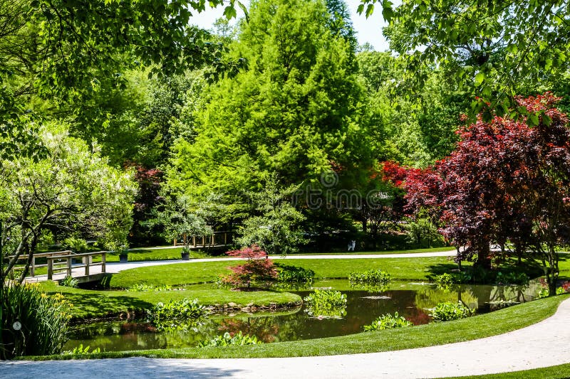 Path Around Lake in Japanese Garden Stock Image - Image of tree, park ...