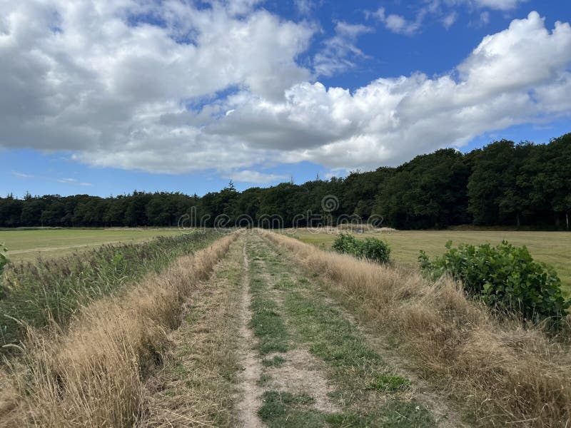 Path Around Rijs in Friesland Stock Photo - Image of cloud, fryslan ...