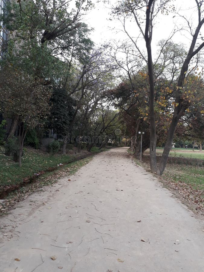 Path Around Trees Near Park Stock Photo - Image of shrub, soil: 190845474