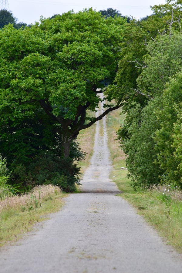 Ascending path stock image. Image of stones, light, green - 1067995