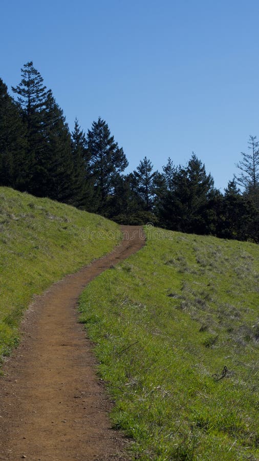 Path Ascending a Wooded Hillside Stock Image - Image of wilderness ...