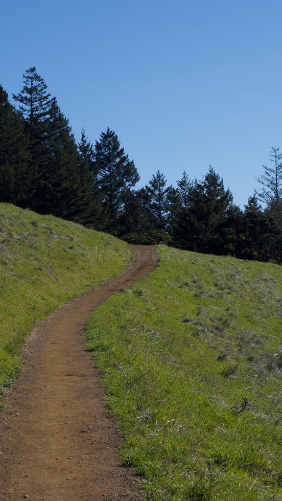 Path Ascending a Wooded Hillside Stock Image - Image of wilderness ...