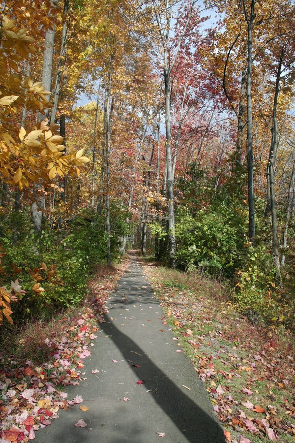 Hawk Falls Rocks at Hickory Run State Park in PA Stock Photo - Image of ...