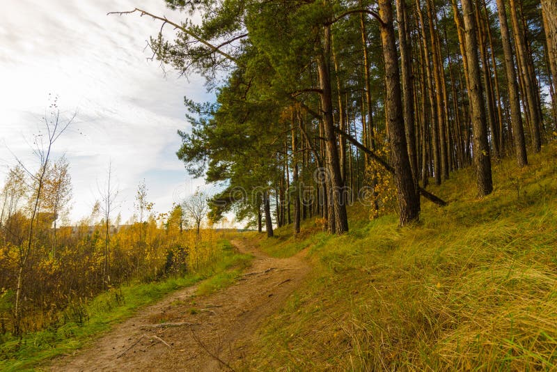 Path through the Autumn Forest . Colors of Autumn Stock Photo - Image ...