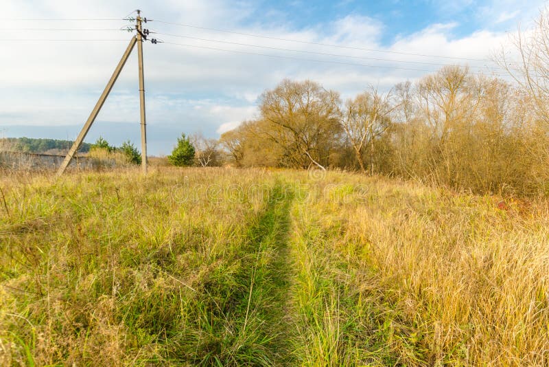 Path in the Autumn Forest Going into the Distance Stock Image - Image ...