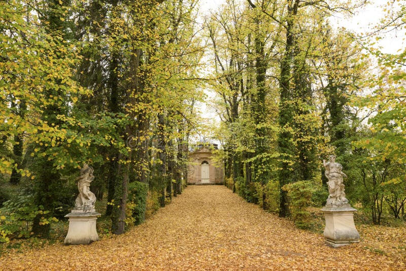Path in the autumn forest stock image. Image of natural - 82291205