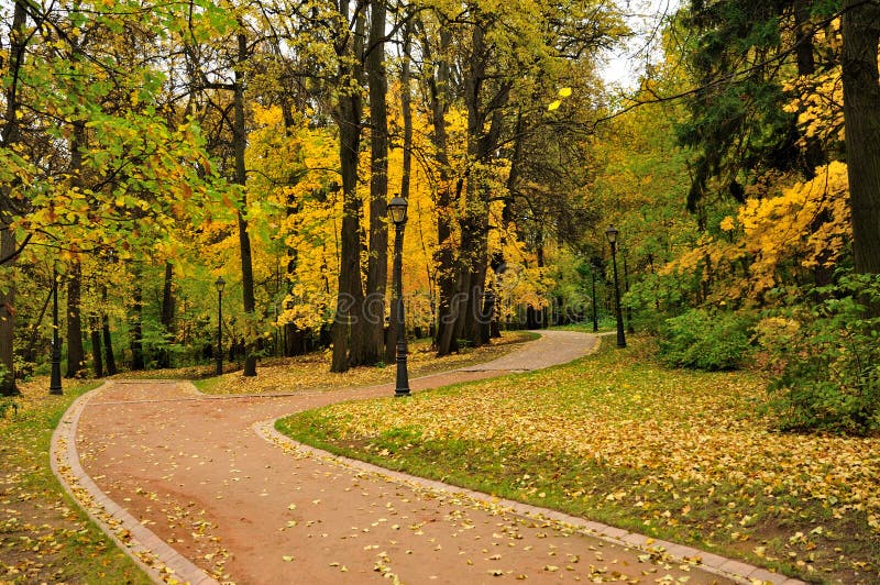 Path in the autumn park stock photo. Image of runner - 21508132