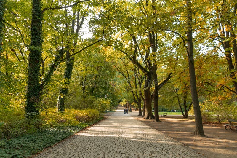 Path in Autumn Park. Beautiful Landscape Stock Photo - Image of autumn ...