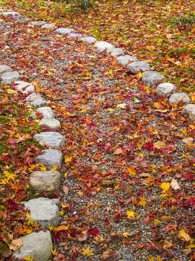 Path in autumn stock image. Image of leaf, foliage, green - 33551529