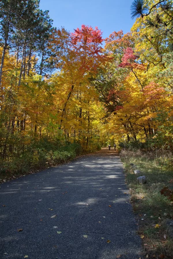 A Path in Autumn Season with Autumn Trees Stock Image - Image of ...