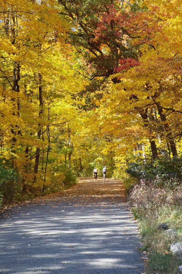 A Path in Autumn Season with Autumn Trees Stock Image - Image of ...
