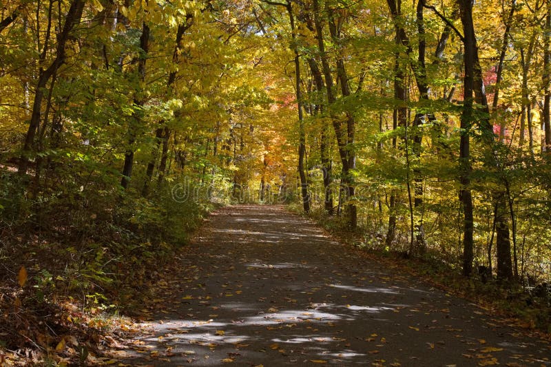 A Path in Autumn Season with Autumn Trees Stock Photo - Image of ...