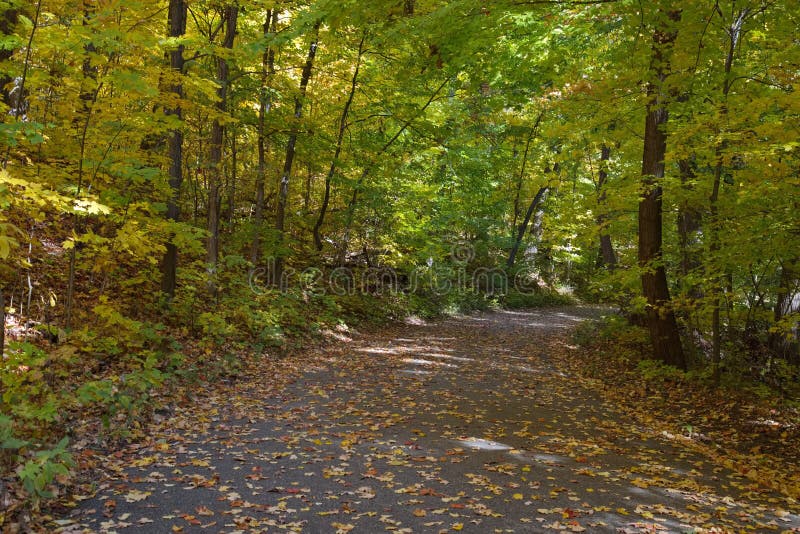 A Path in Autumn Season with Autumn Trees Stock Image - Image of trees ...
