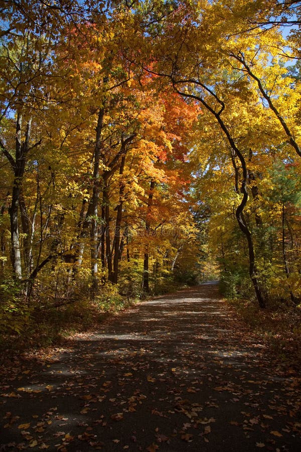 A Path in Autumn Season with Autumn Trees Stock Photo - Image of ...